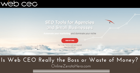 Is Web CEO Really the Boss or Waste of Money? (Web CEO Review)
