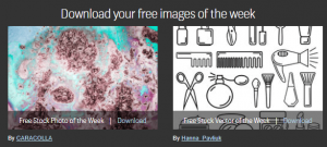 Is Shutterstock Legit and Safe to Use? (Shutterstock Review) | Online ...